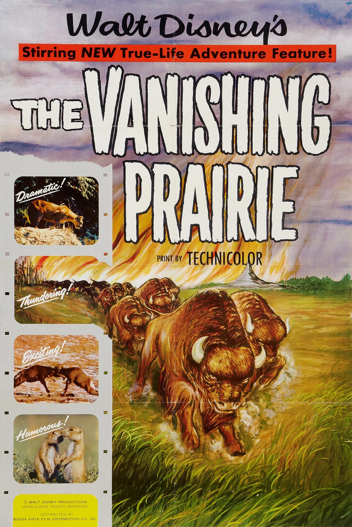 The Vanishing Prairie | Disney Wiki | Fandom