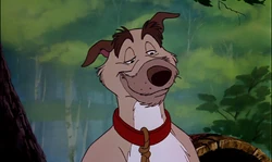 Fox And The Hound Chief