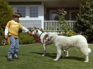 Jamie Seaver | Disney Wiki | Fandom