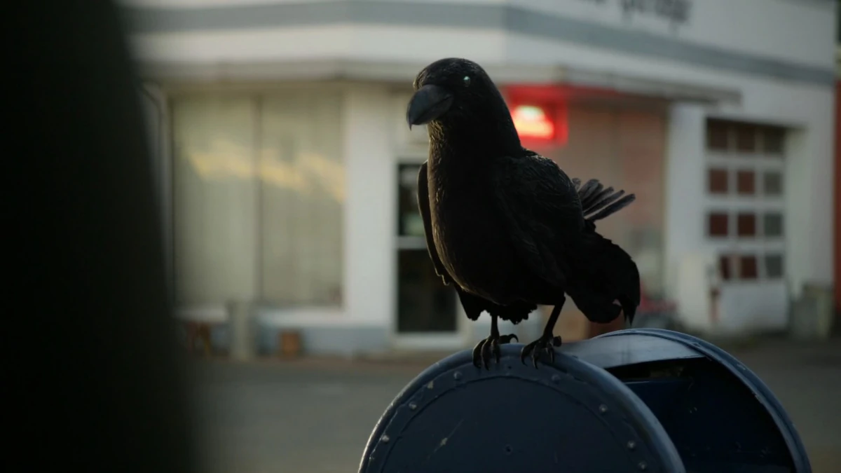 Raven | Disney Wiki | Fandom