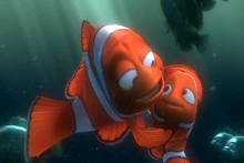 Nemo/Relationships | Disney Wiki | Fandom