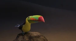 Encanto Toucan GIF Encanto Toucan Pico Discover Share GIFs, 49% OFF