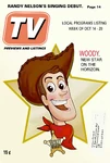 Woody's Roundup | Disney Wiki | Fandom