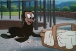 Salty the Seal | Disney Wiki | Fandom