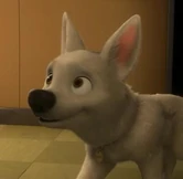 Bolt (personaje) | Disney Wiki | Fandom