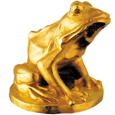 Camerimage | Disney Wiki | Fandom