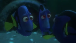 Finding Dory Charlie