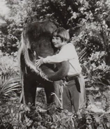 Rocky (Swiss Family Robinson) | Disney Wiki | Fandom