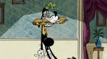 Dog Show | Disney Wiki | Fandom