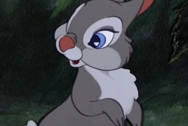 Thumper In Love