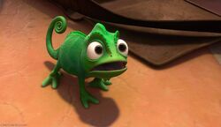 Disney Tangled Pascal