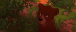Koda/Gallery | Disney Wiki | Fandom