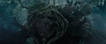 Forest Army | Disney Wiki | Fandom