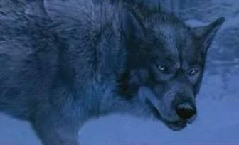 Maugrim | Disney Wiki | Fandom