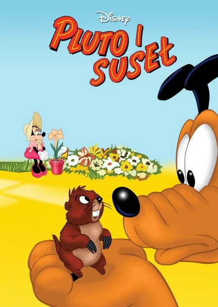 Kategoria:Krótkometrażówki z Pluto | Disney Wiki | Fandom