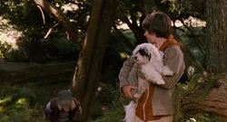 Bridge To Terabithia Prince Terrien