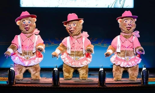 Sun Bonnets | Disney Wiki | Fandom