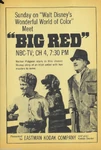 Big Red | Disney Wiki | Fandom