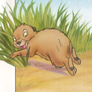 Pimbi | Disney Wiki | Fandom