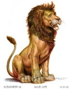 The Wild | Disney Wiki | Fandom