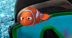 Buscando A Nemo P Sherman