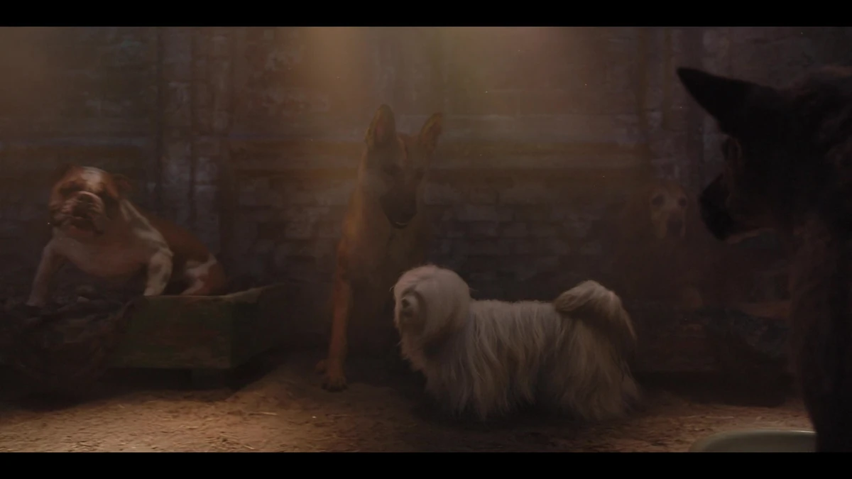Pound Dogs (Lady and the Tramp 2019) | Disney Wiki | Fandom