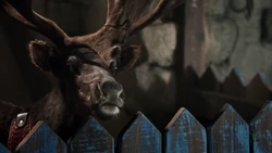 Sven | Disney Wiki | Fandom