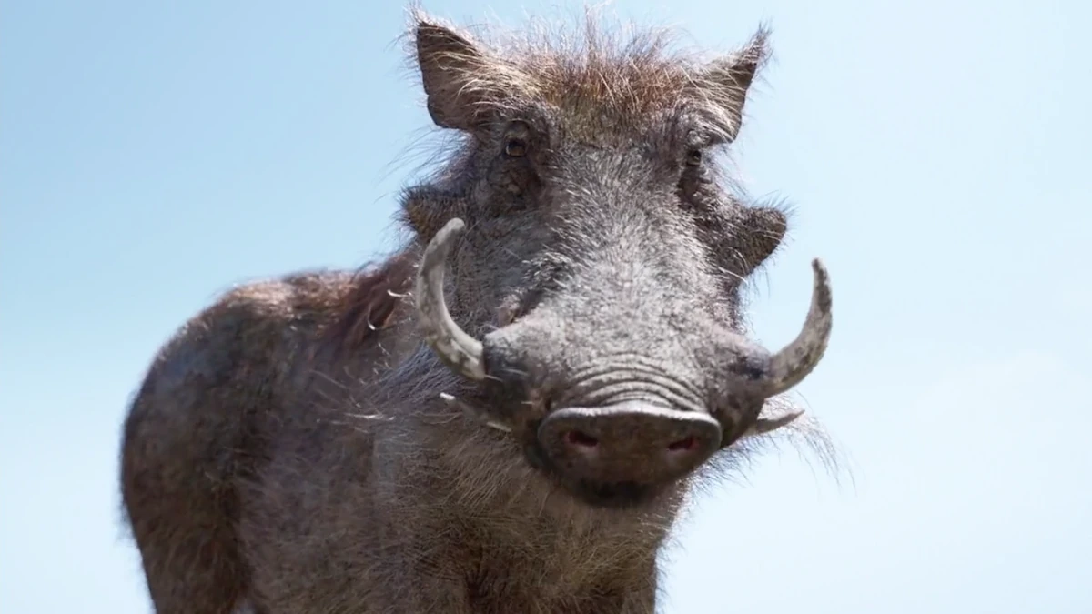 Pumbaa | Disney Wiki | Fandom