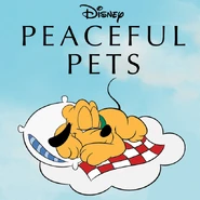 Disney Peaceful | Disney Wiki | Fandom