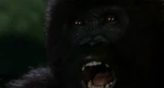 Mighty Joe Young/Gallery | Disney Wiki | Fandom