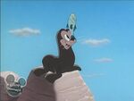 Salty the Seal | Disney Wiki | Fandom