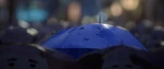The Blue Umbrella | Disney Wiki | Fandom