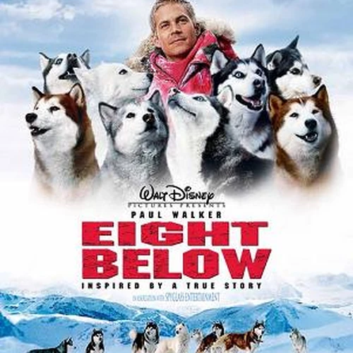 Dewey From Eight Below