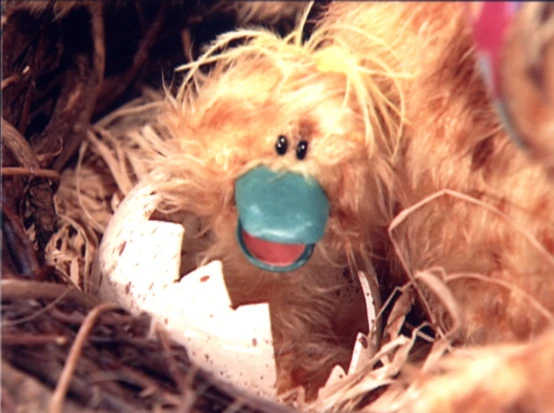 Hallie Duck | Disney Wiki | Fandom