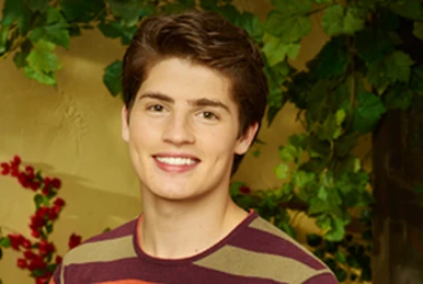 Mason De Los Hechiceros De Waverly Place Leodeeabreu (@leodeeabreu)