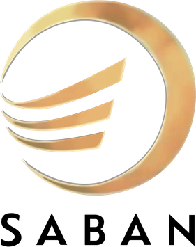 BVS Entertainment | Disney Wiki | Fandom