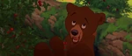Koda/Gallery | Disney Wiki | Fandom