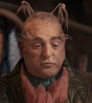 Tom Scharpling | Disney Wiki | Fandom