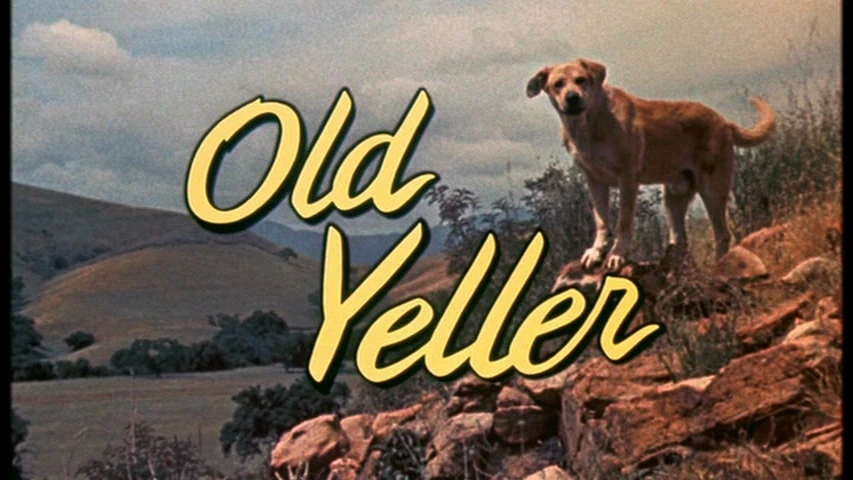 Old Yeller (character)/Gallery | Disney Wiki | Fandom