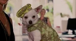 Chloe/Gallery | Disney Wiki | Fandom