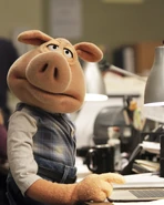 Andy and Randy Pig | Disney Wiki | Fandom