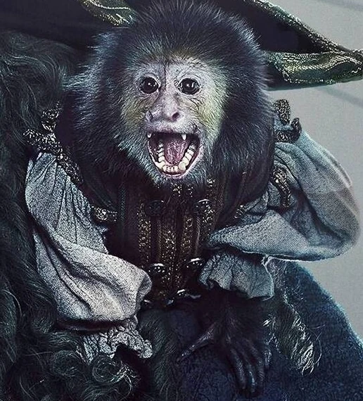 Jack the Monkey | Disney Wiki | Fandom