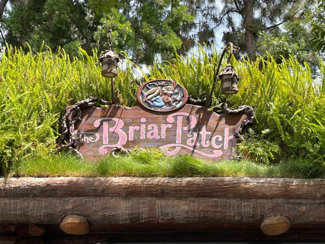 Briar Patch Disney
