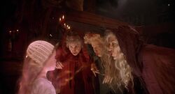 Venetianprincess Hocus Pocus