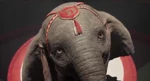 Dumbo | Disney Wiki | Fandom