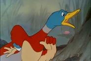 Father Duck/Gallery | Disney Wiki | Fandom