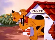Pluto's Blue Note | Disney Wiki | Fandom