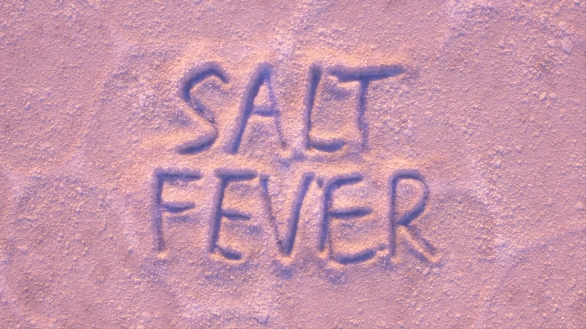 Salt Fever | Disney Wiki | Fandom