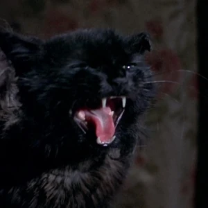 Discuss Everything About Disney Wiki | Fandom