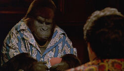 George Of The Jungle Ape Farts